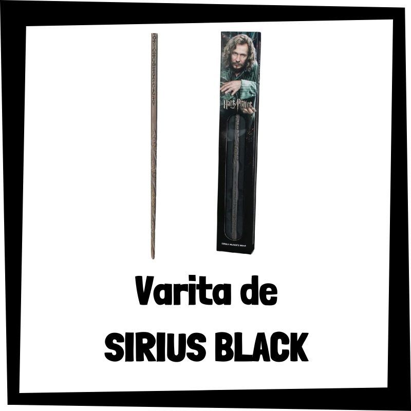 Sirius Black, el rebelde del Mundo Mágico - Universo de Harry Potter